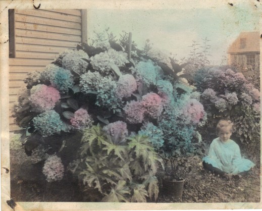 Lewis Reed’s Hand-tinted Photos | Reed Brothers Dodge History 1915 – 2012