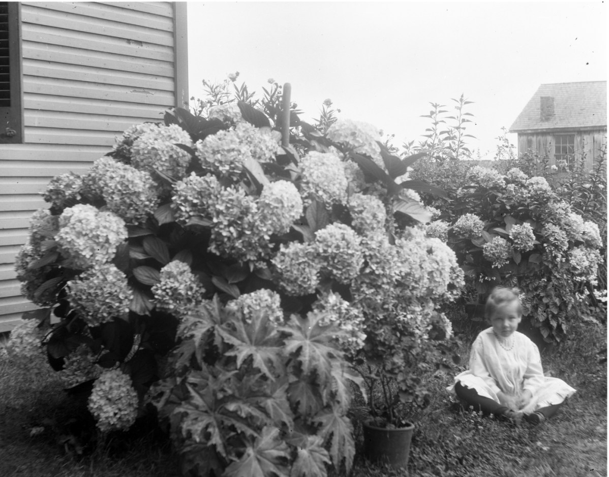 A Look Back at the Forgotten Art of Hand-Tinted Photography | Reed ...