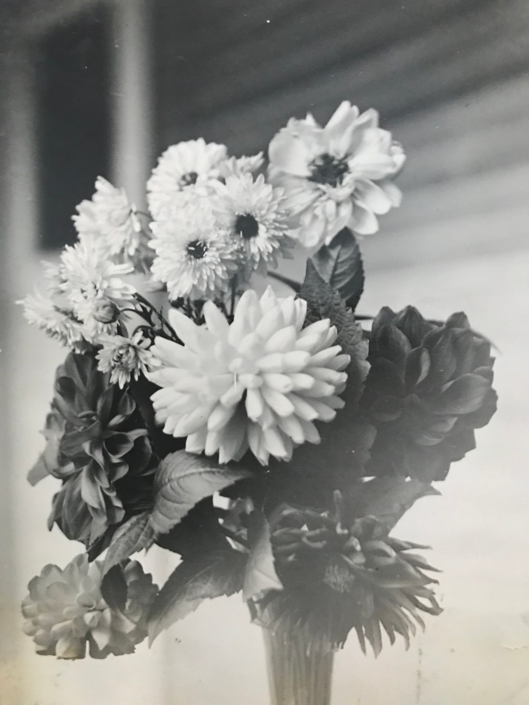 A Look Back at the Forgotten Art of Hand-Tinted Photography | Reed ...