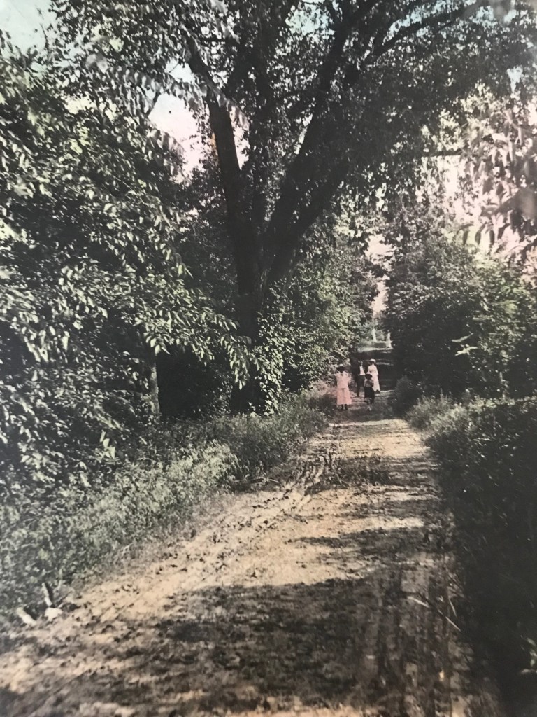 A Look Back at the Forgotten Art of Hand-Tinted Photography | Reed ...