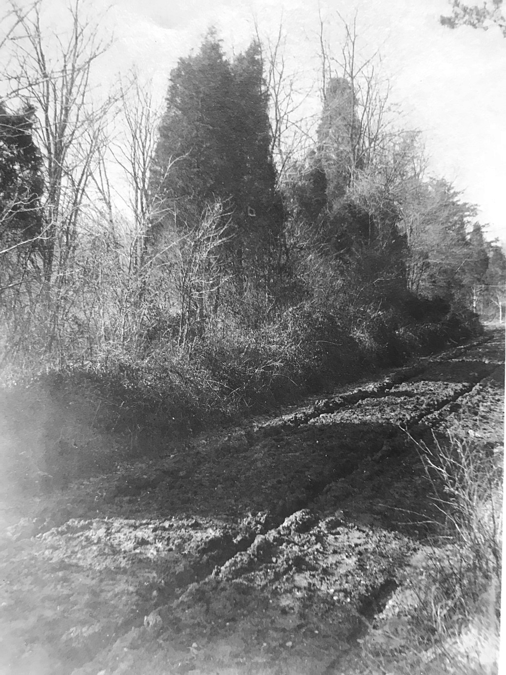 Veirs Mill Road Prior to Paving, 1911 | Reed Brothers Dodge History ...